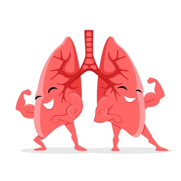 Pulmones de dibujos animados imágenes de stock de arte vectorial ...