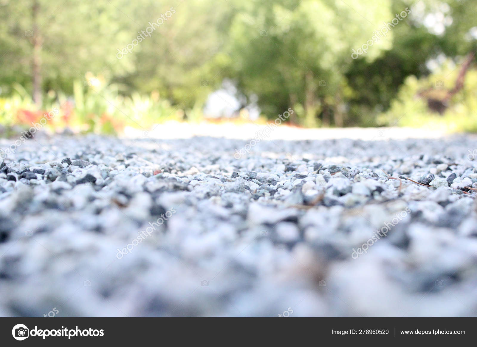 Gravel Road Close Up