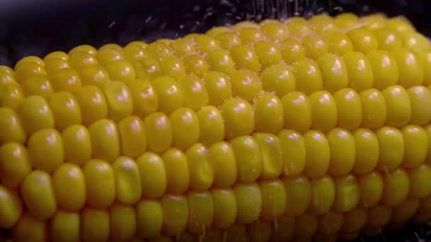 Vidéos pour Milho na madeira, Milho na madeira clips vidéo HD / 4K ...