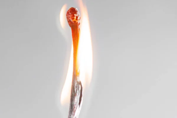 Match lit on a white background, bright fire on the matchstick. Fire in ...