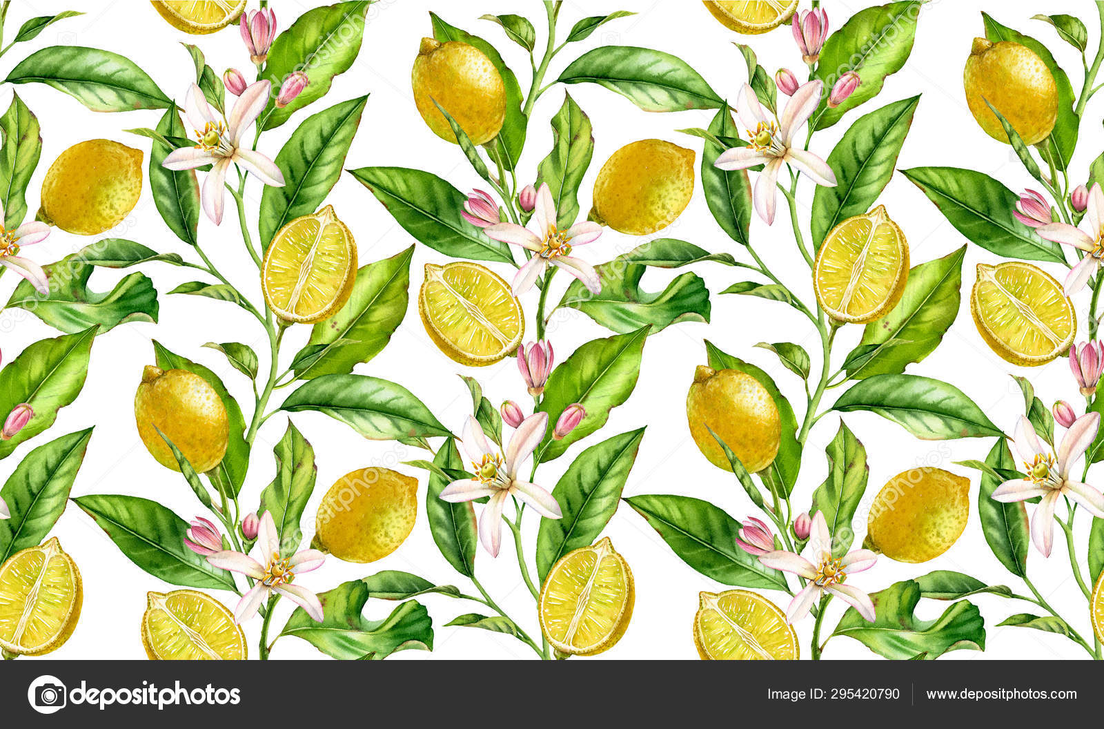 Citromos gyümölcs zökkenőmentes minta akvarell fa ága virágok reális ...