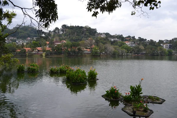 Kandy lake Stock Photos, Royalty Free Kandy lake Images | Depositphotos
