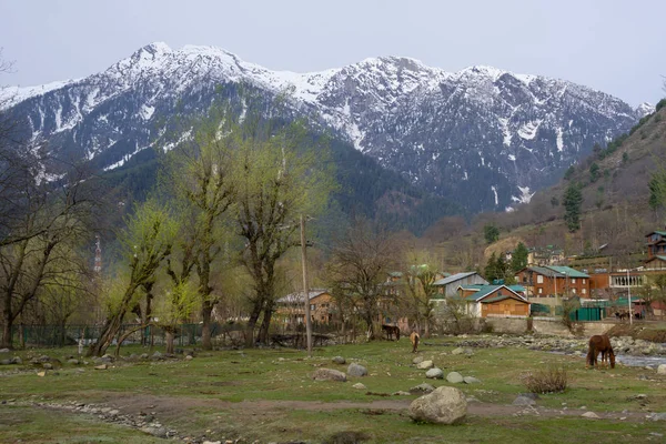 Naran village Stock Photos, Royalty Free Naran village Images ...