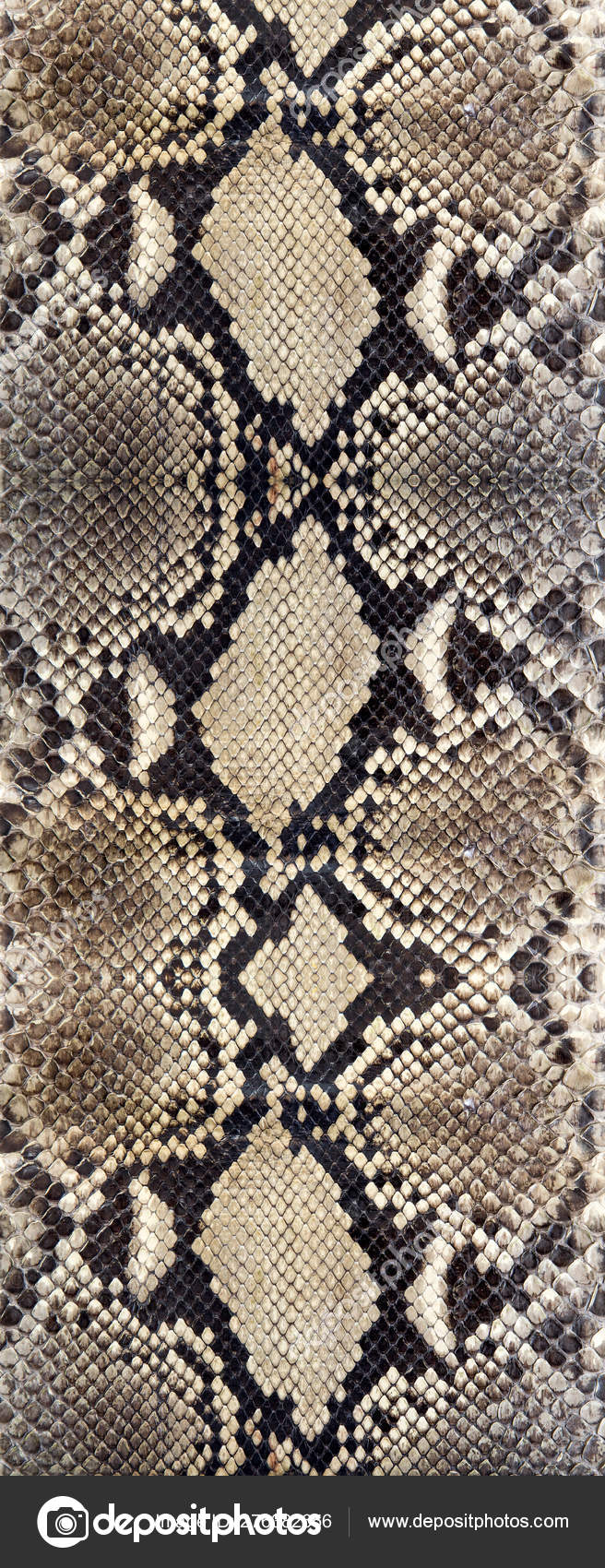 Seamless snake skin texture. Fashion for tropical reptiles. Genuine ...