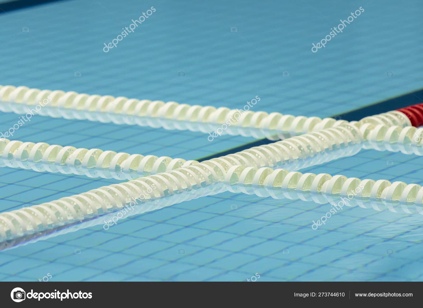 Swimming Pool Border Lines — Stock Photo © Dariozg #273744610