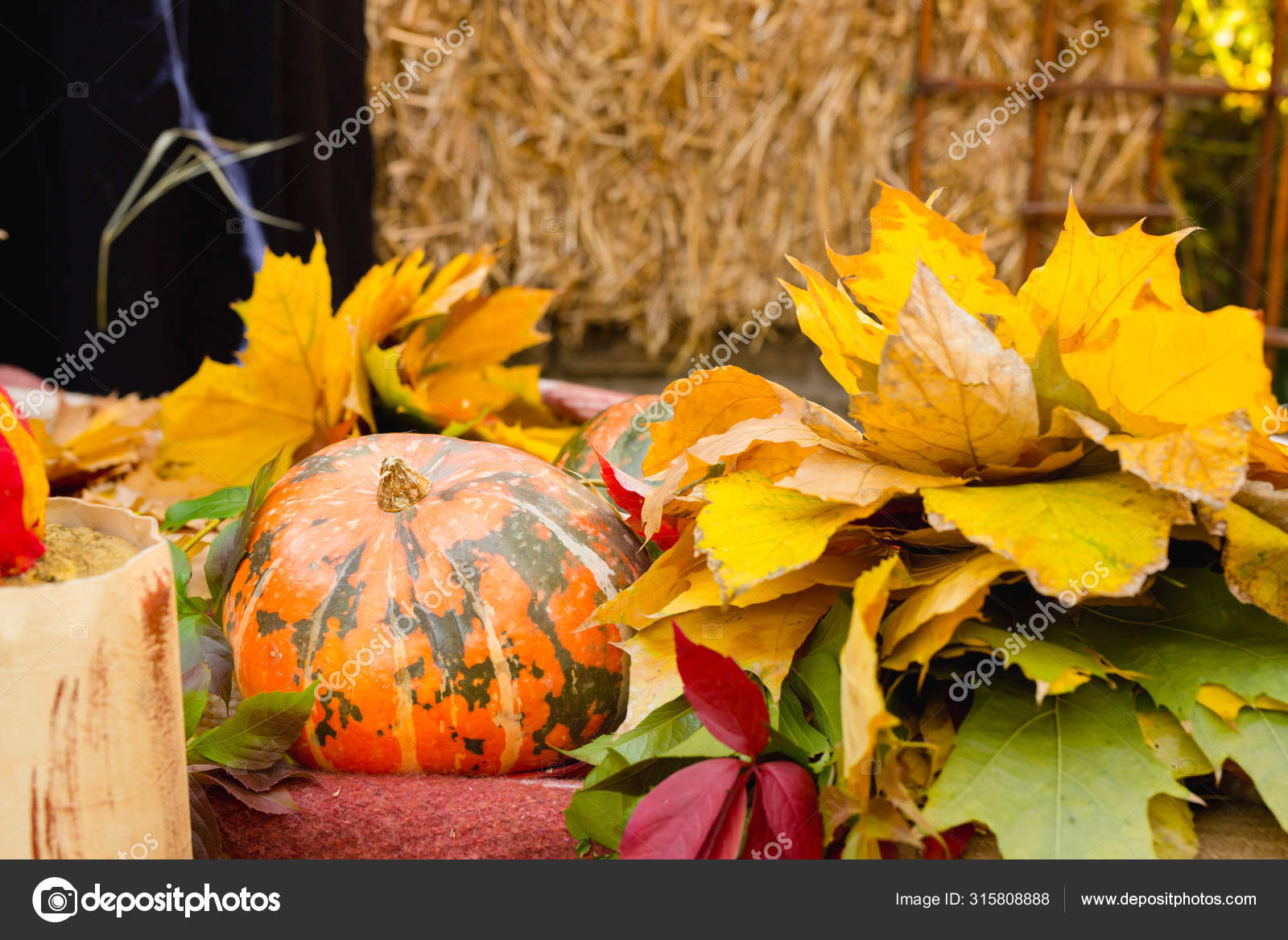 Beautiful pumpkin and fall foliage decoration for Halloween. — Stock ...