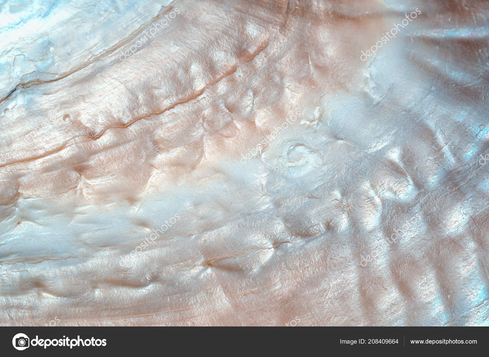 Luxury Nacre Seashell Background Texture Close — Stock Photo © Elf+11 ...