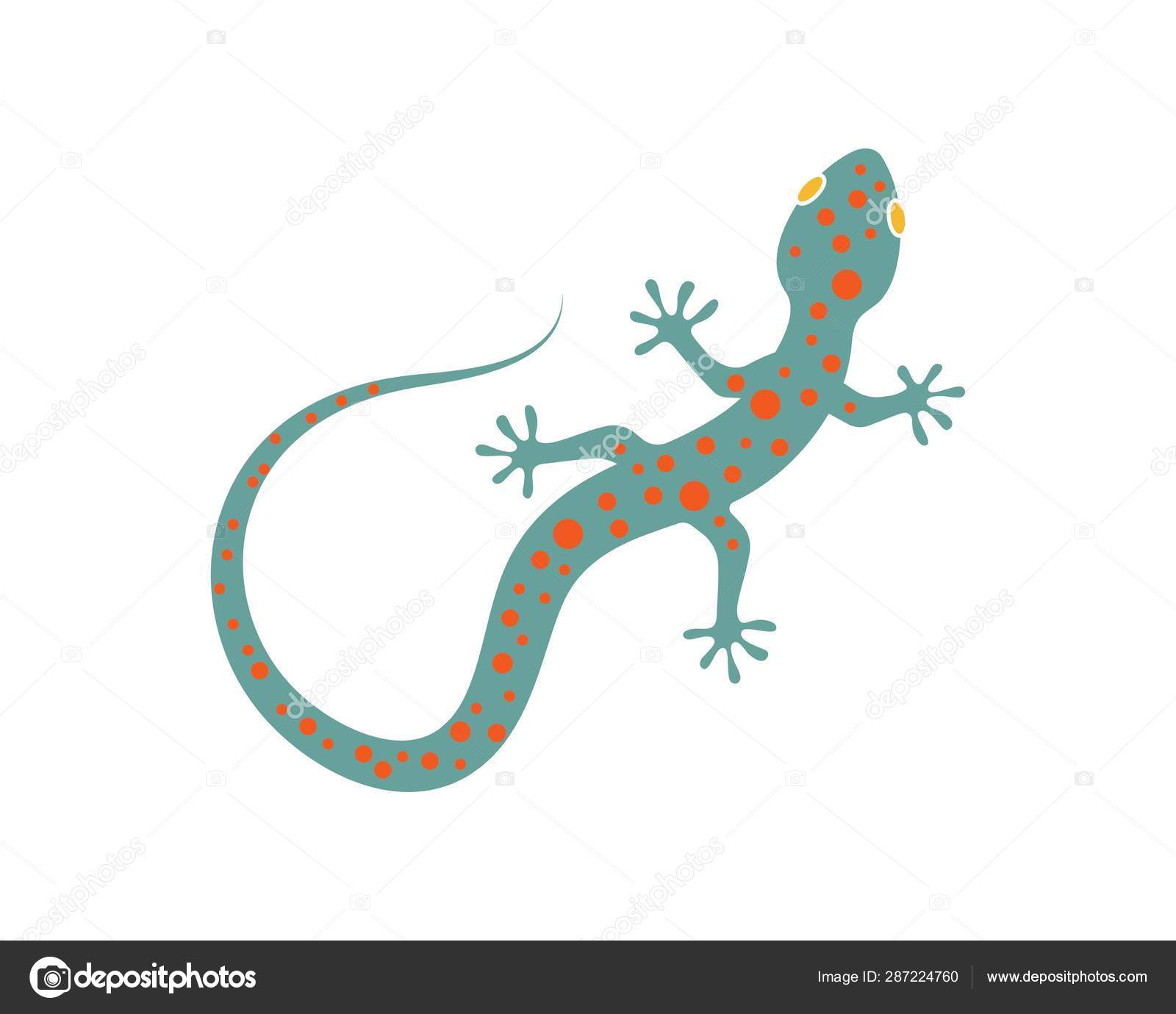 Gecko Drawing Template