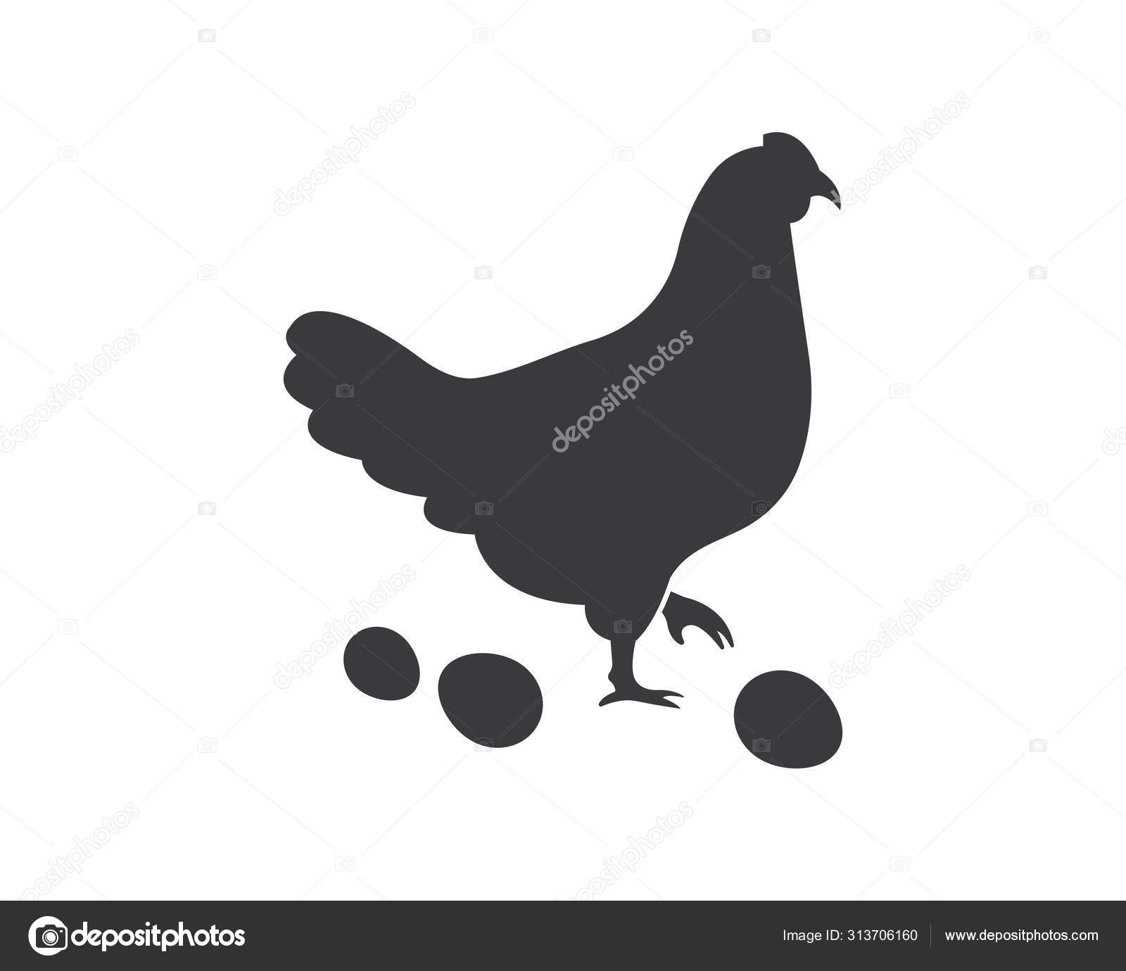 Gambar ikon vektor logo ayam Vektor Stok oleh ©sangidan 313706160