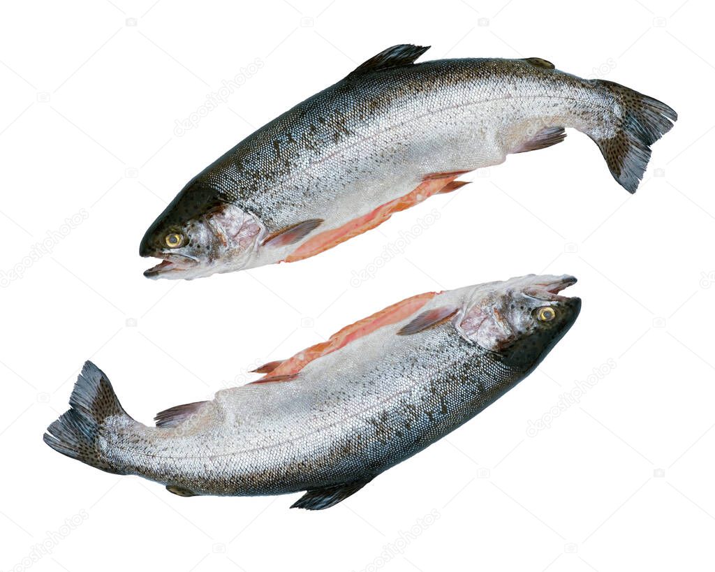 pescado rojo eviscerado, dos peces de trucha en forma de símbolo ...