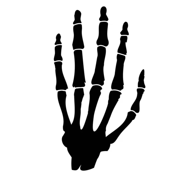 Skeleton Hand Reaching