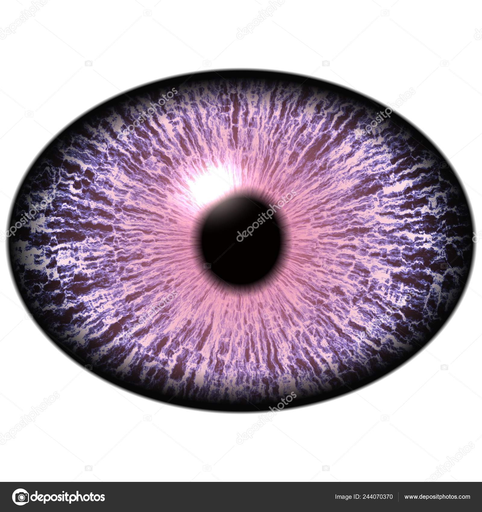 Strange Human Eye Shin Pupil Dark Retina Slim Iris Pupil — Stock Photo ...