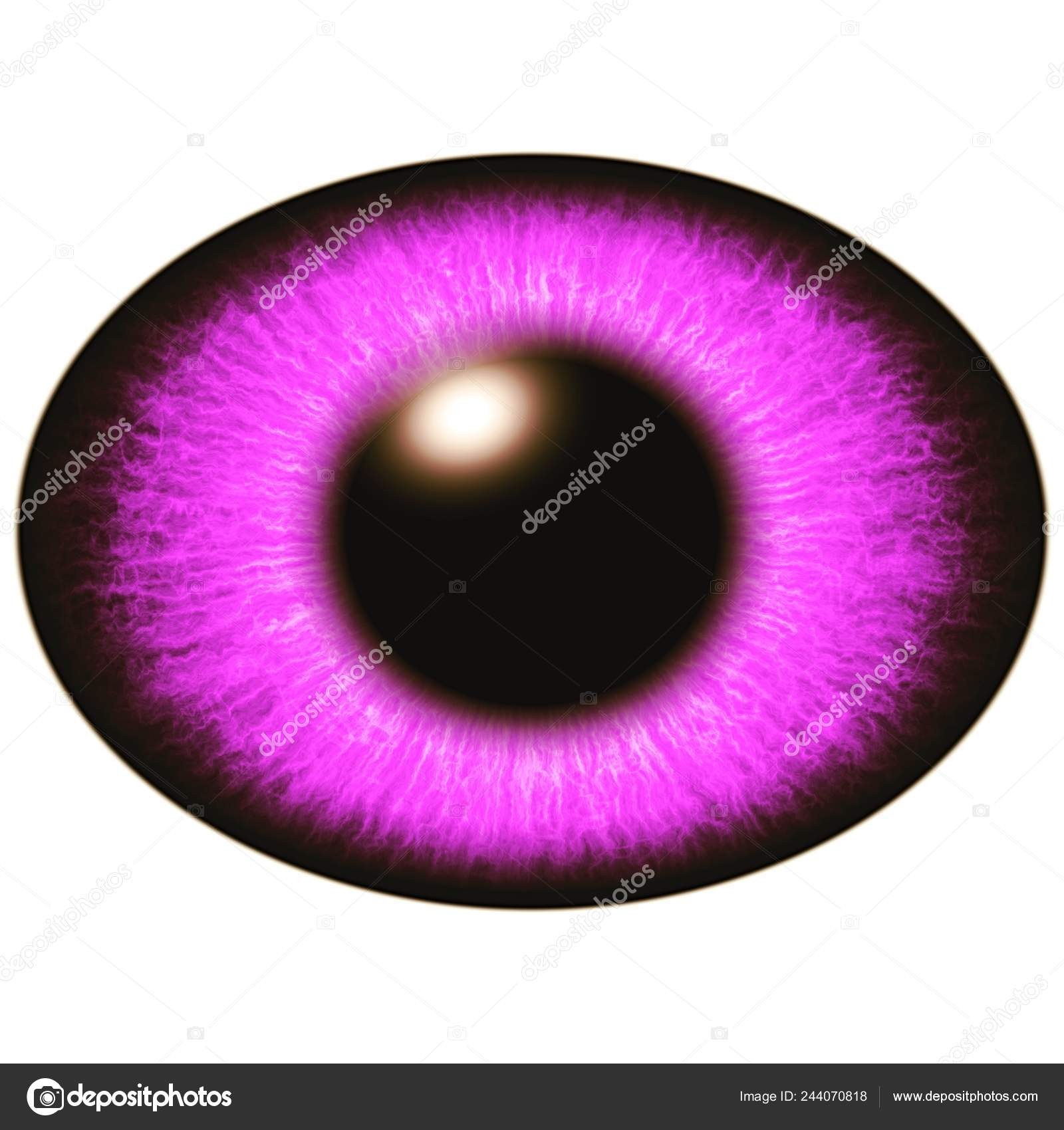 Strange Human Eye Shin Pupil Dark Retina Slim Iris Pupil — Stock Photo ...