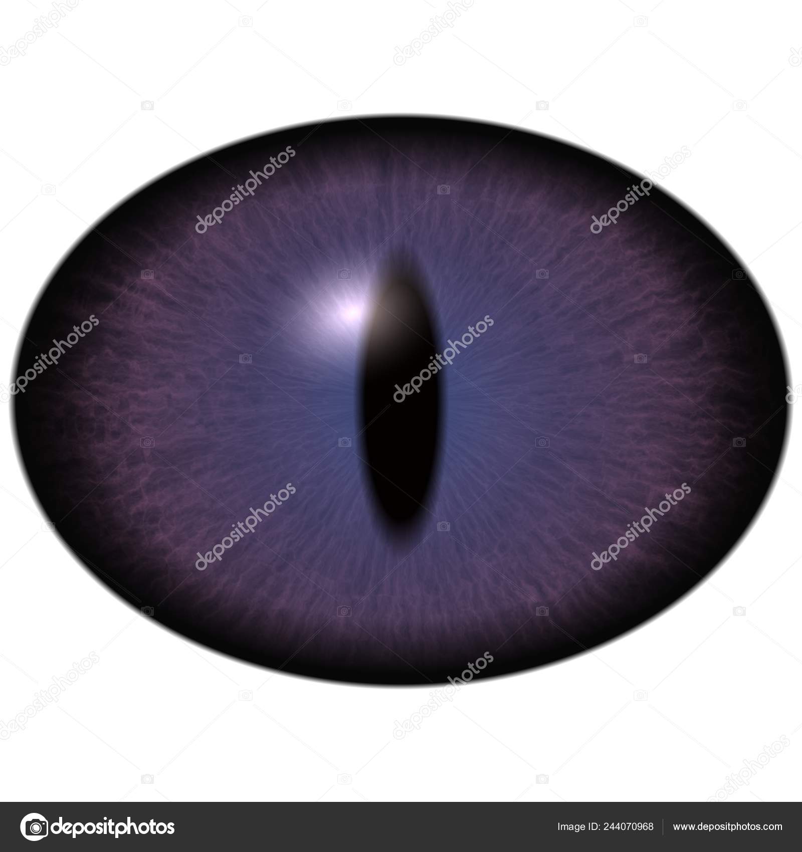 Strange Human Eye Shin Pupil Dark Retina Slim Iris Pupil — Stock Photo ...