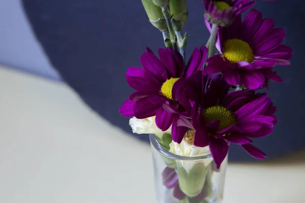 Office flowers Stock Photos, Royalty Free Office flowers Images ...