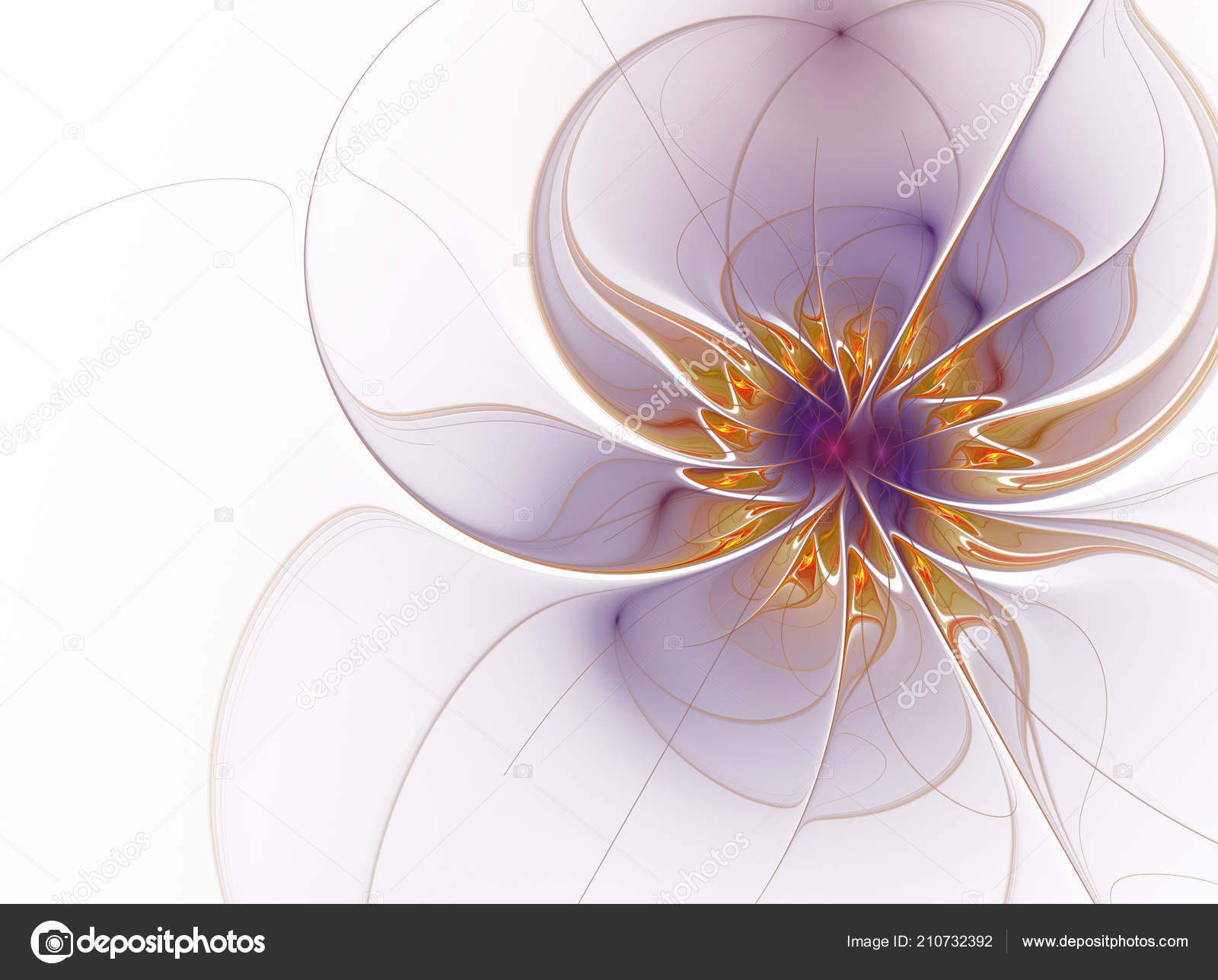 Beautiful Fractal Flower Computer Generated Graphics Abstract Floral ...