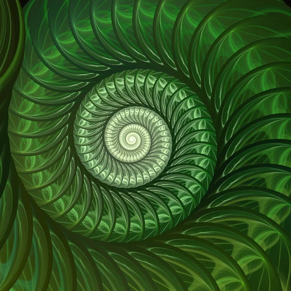 Abstract fractal spiral. Shell background, Spiral symmetry Fibonacci ...