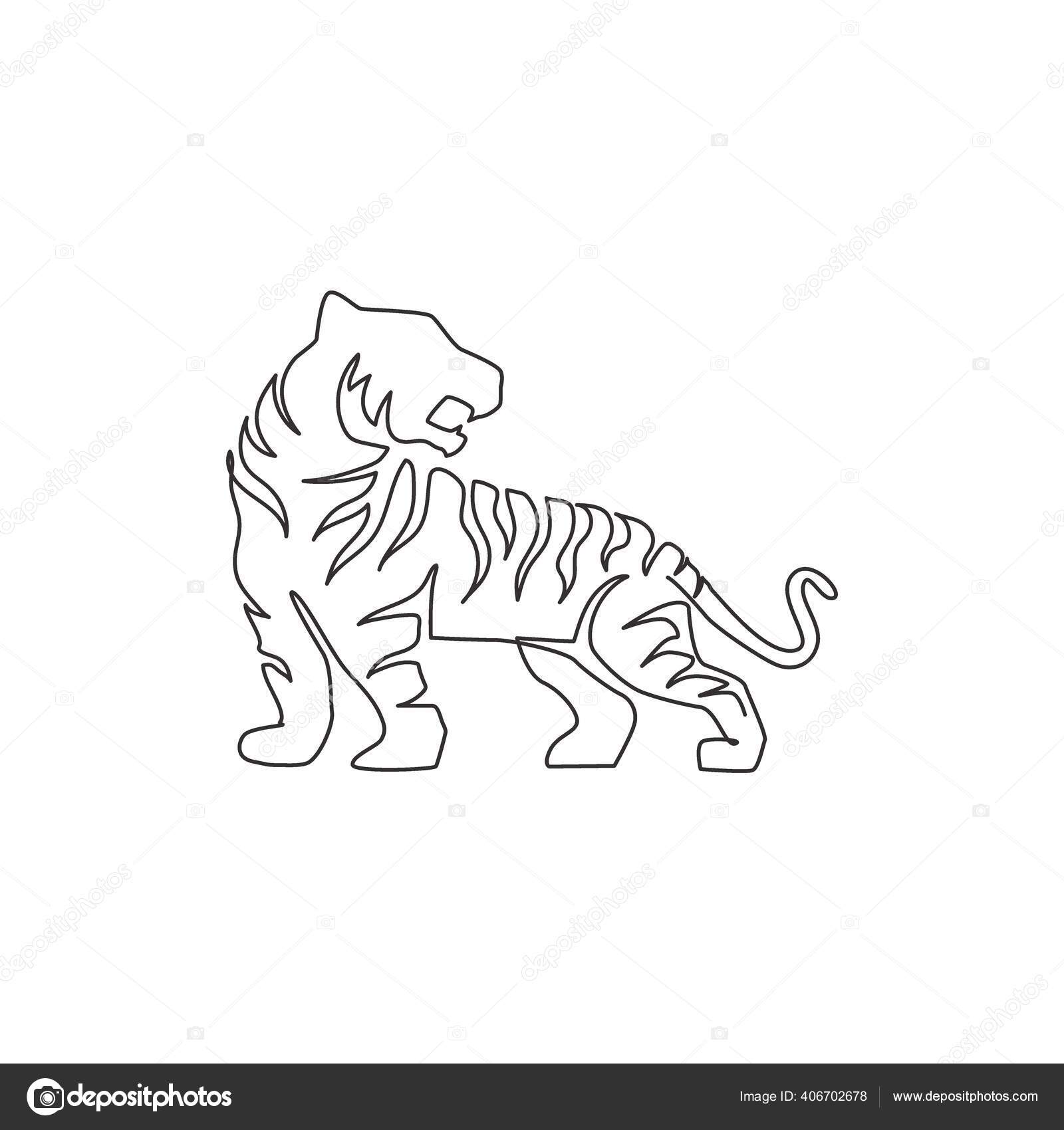 Chinese Tiger Line Drawing