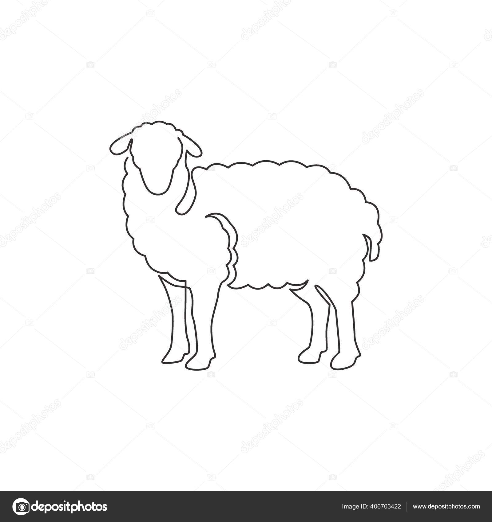 Una Línea Continua Dibujo Ovejas Lindas Divertidas Para Identidad Del ...