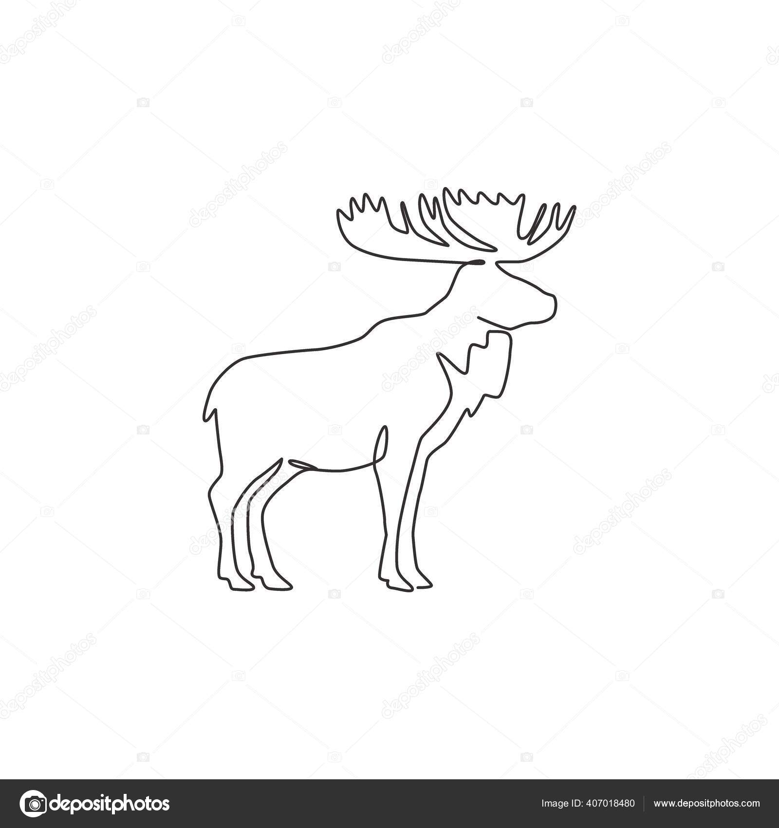 Tegning Av Elghodeskalle