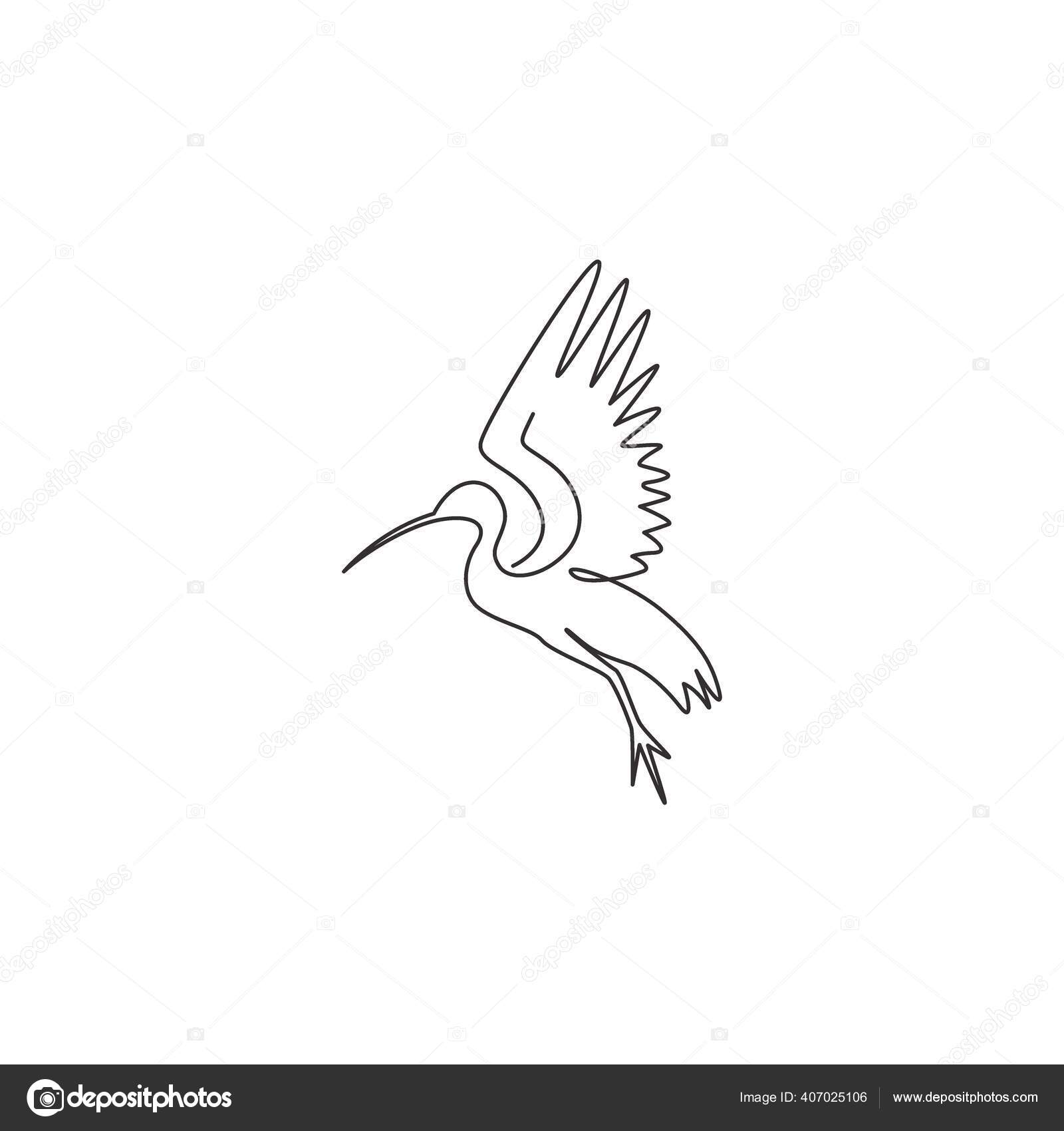 Dibujo Una Sola Línea Adorable Ibis Para Identidad Del Logotipo Vector ...