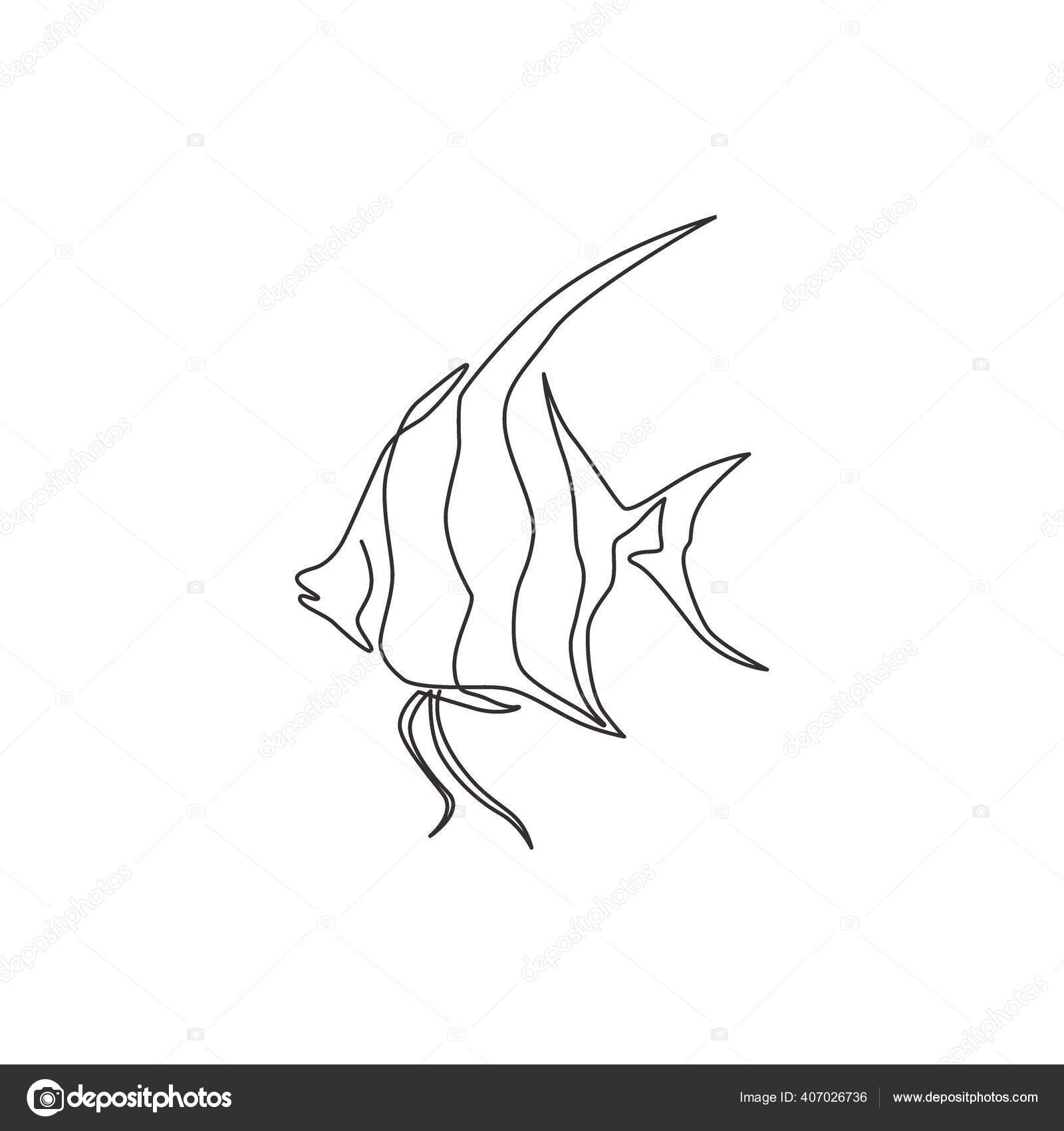 How To Draw A Angel Fish