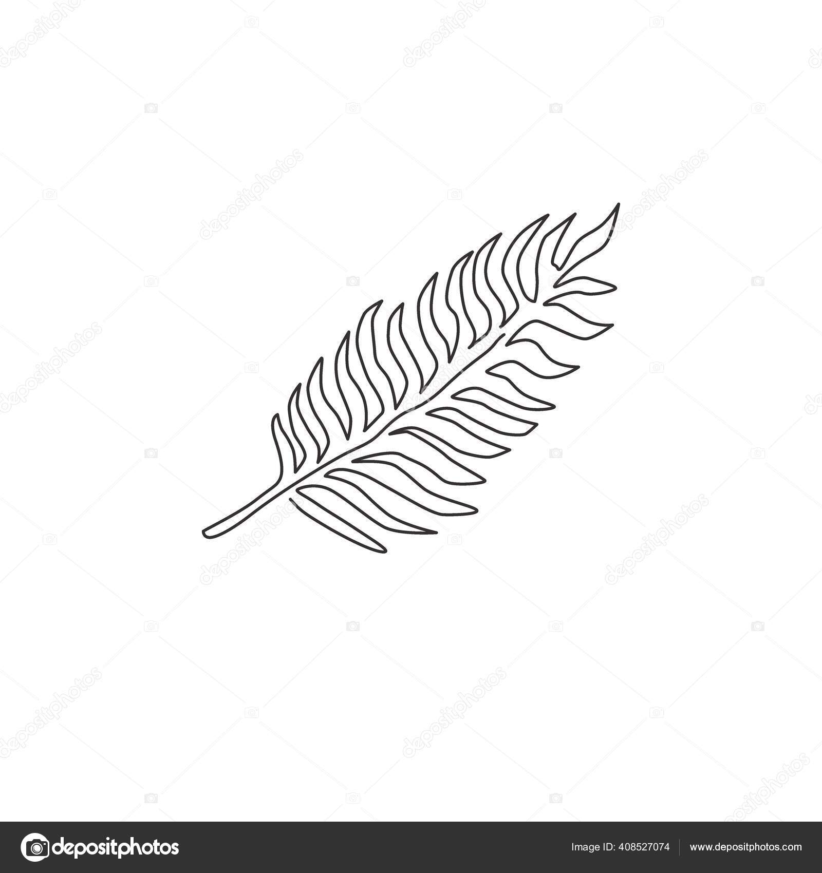 Bregneplante Tegning Mr Plant Bregne Grønn Kunstig Plante H60 | Bohus