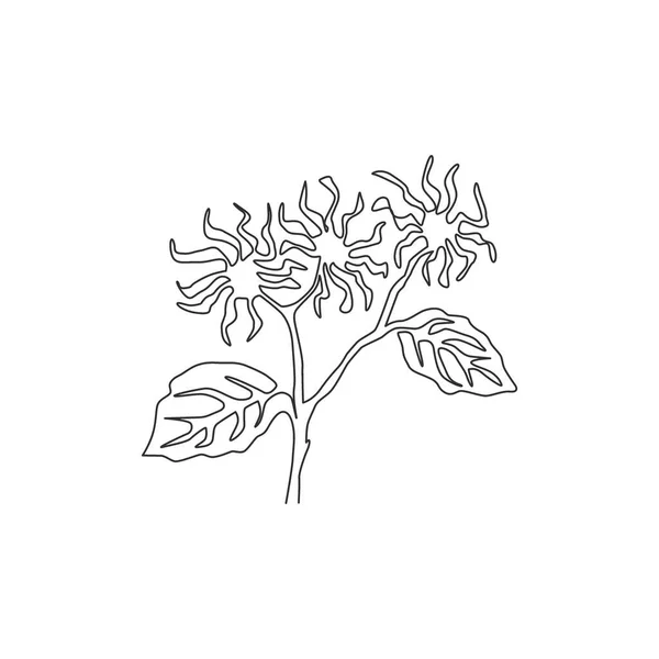 One Single Line Drawing Beauty Fresh Gladiolus Home Wall Art Stock