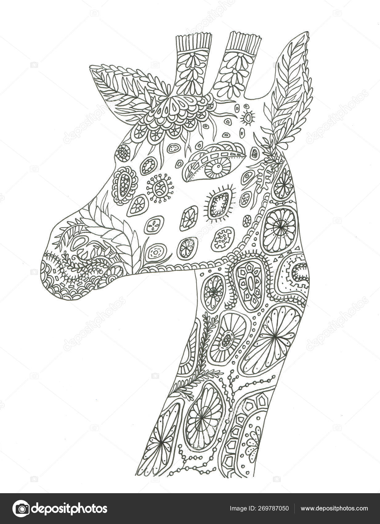 Zebra Ink Illustration Black White Stock Illustration by ©MarynaS ...