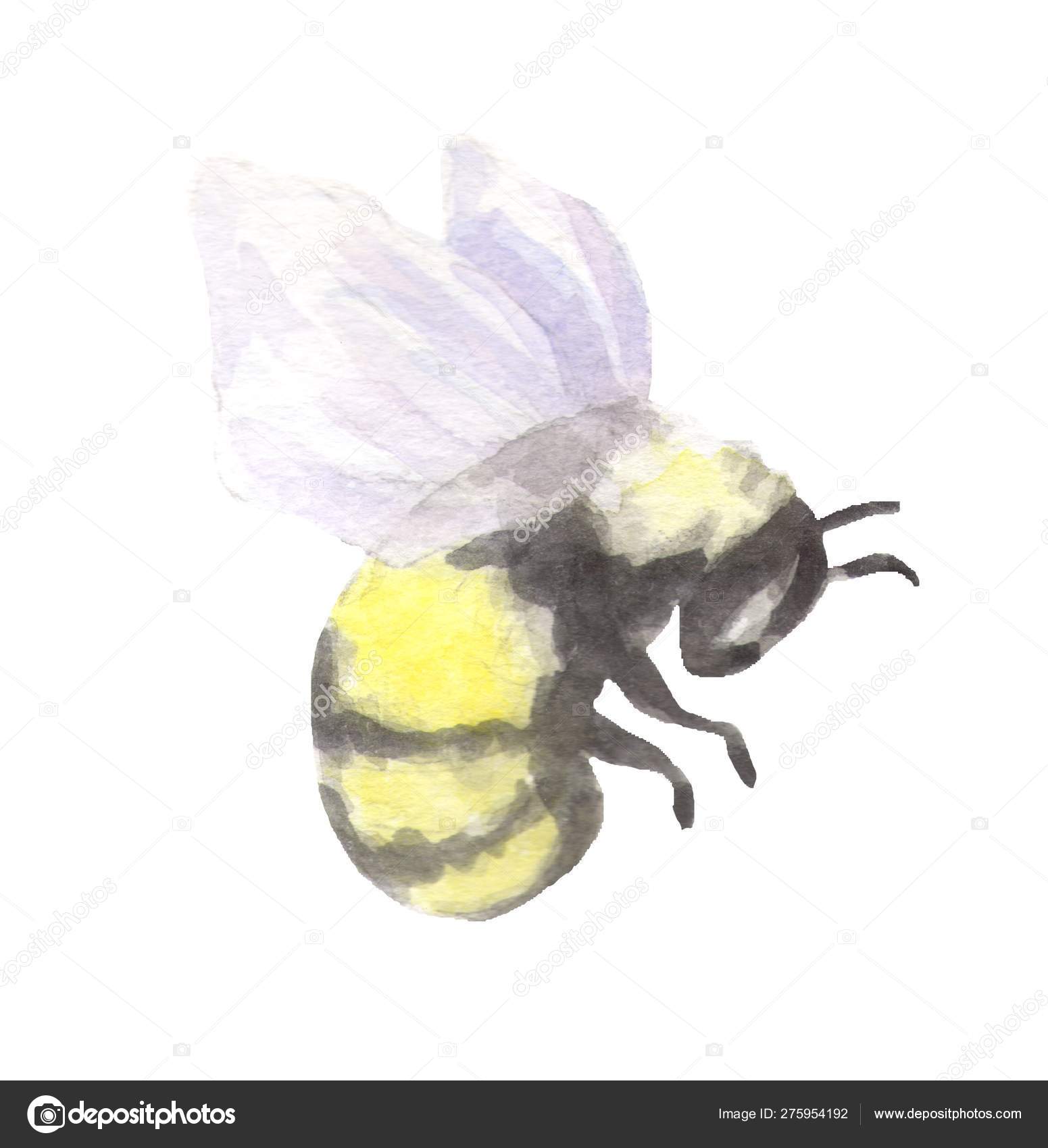 Watercolor Bee Hand Drawn Illustration Nursery Art Stock Illustration ...