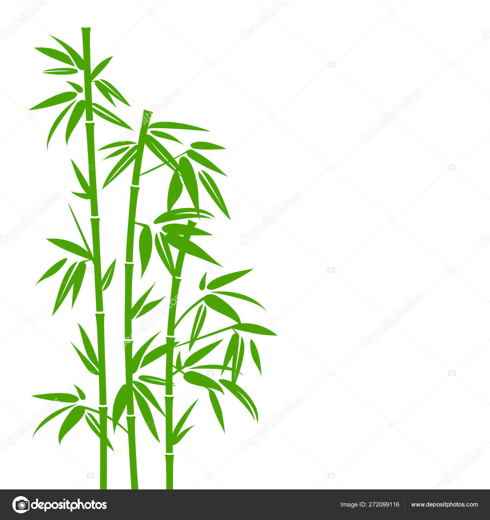 Tumbuhan Bambu Hijau Bergambar Sendiri Vertikal Latar Belakang Persegi ...