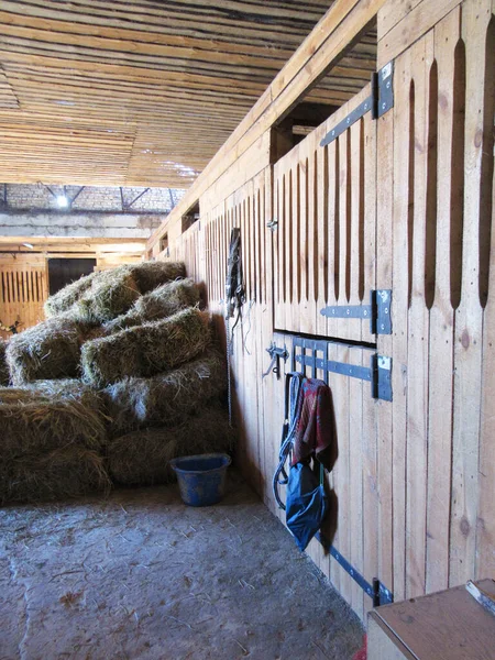 Stable stall Stock Photos, Royalty Free Stable stall Images | Depositphotos