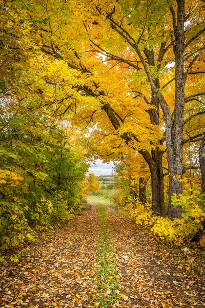Canadian countryside Stock Photos, Royalty Free Canadian countryside ...