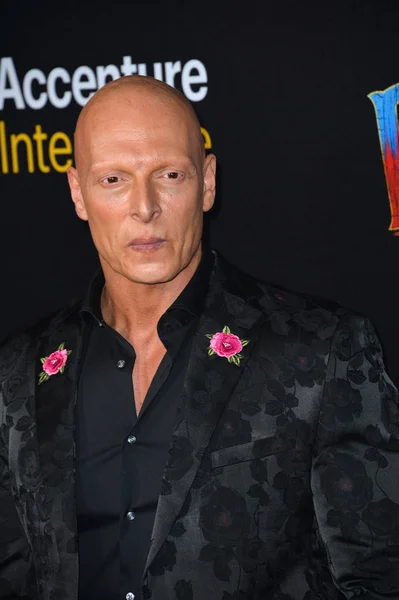 ガット Stock Photos, Royalty Free ガット Images | Depositphotos