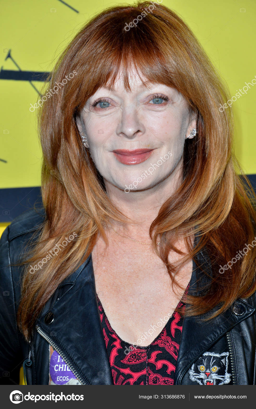 Dan Frances's Instagram, Twitter & Facebook on IDCrawl