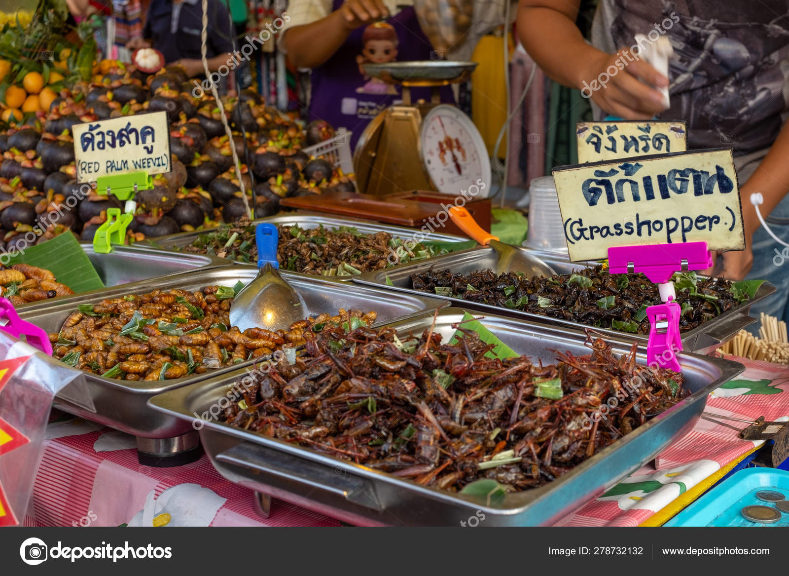 A range of deep fried insects for sale including grasshoppers and ...