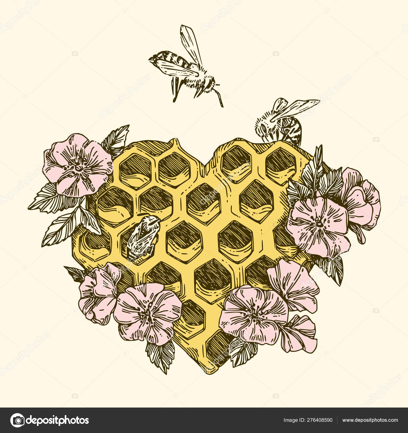 Bee Honeycomb Drawing