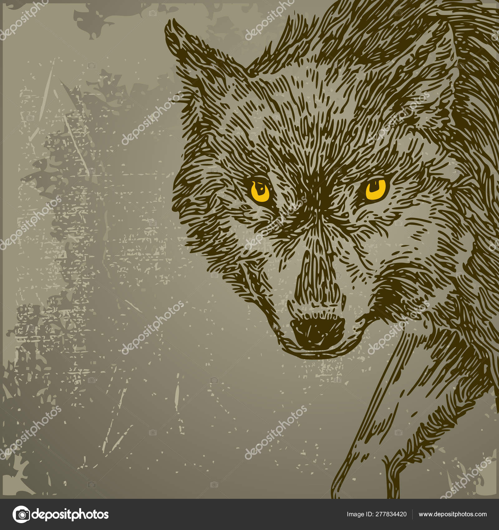 Vintage Wolf Illustration