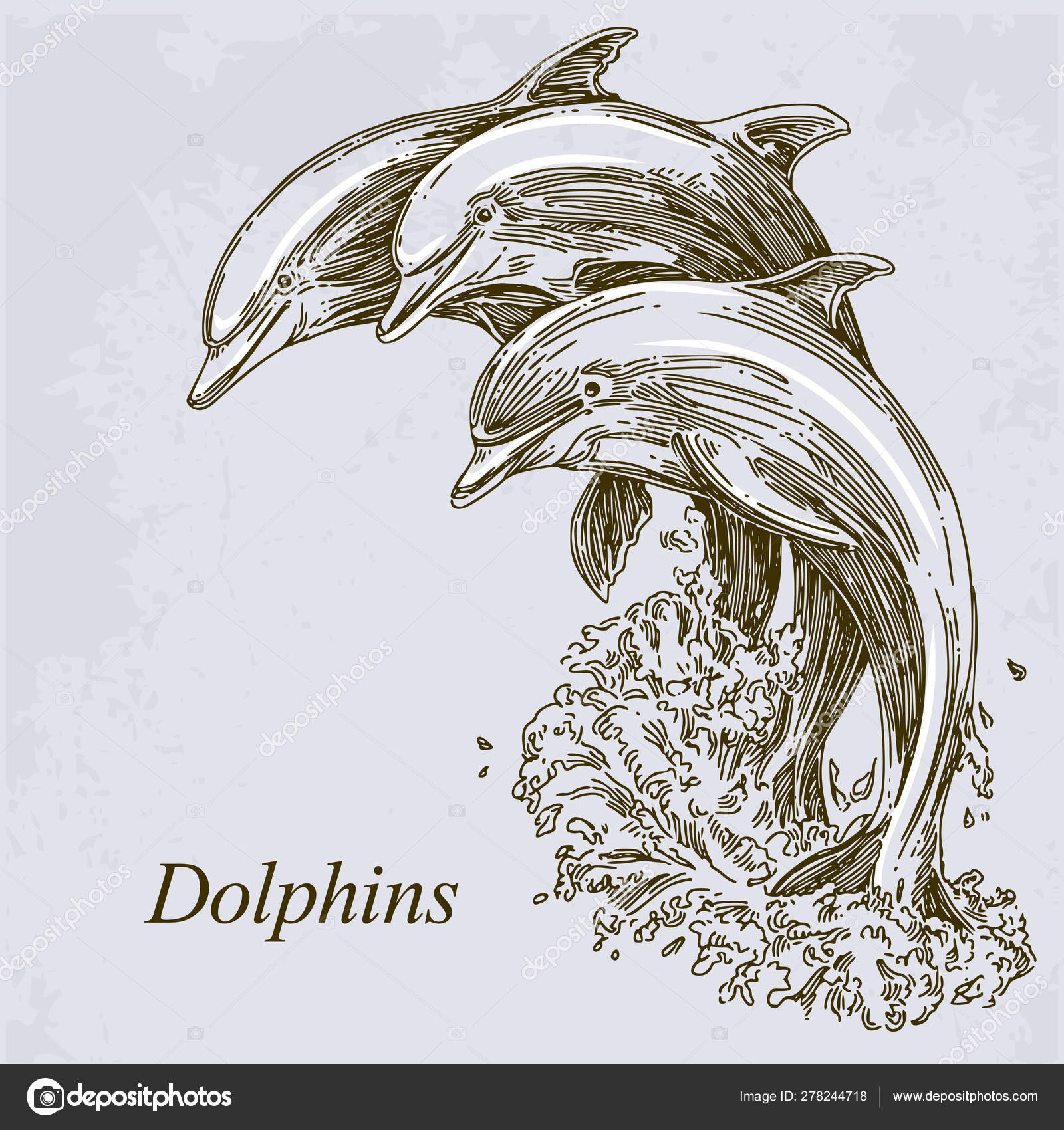 Dolphin Jumping Drawing