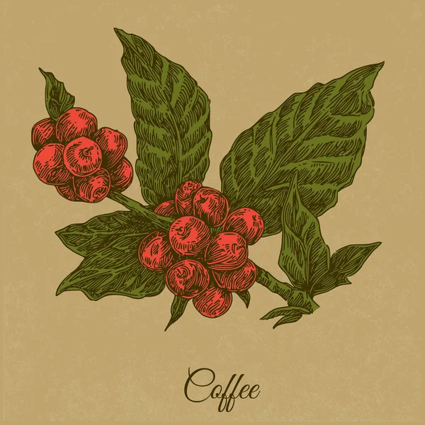 Gusto Vector Art Stock Images | Depositphotos