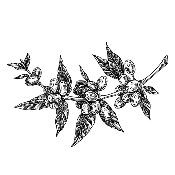 Gusto Vector Art Stock Images | Depositphotos