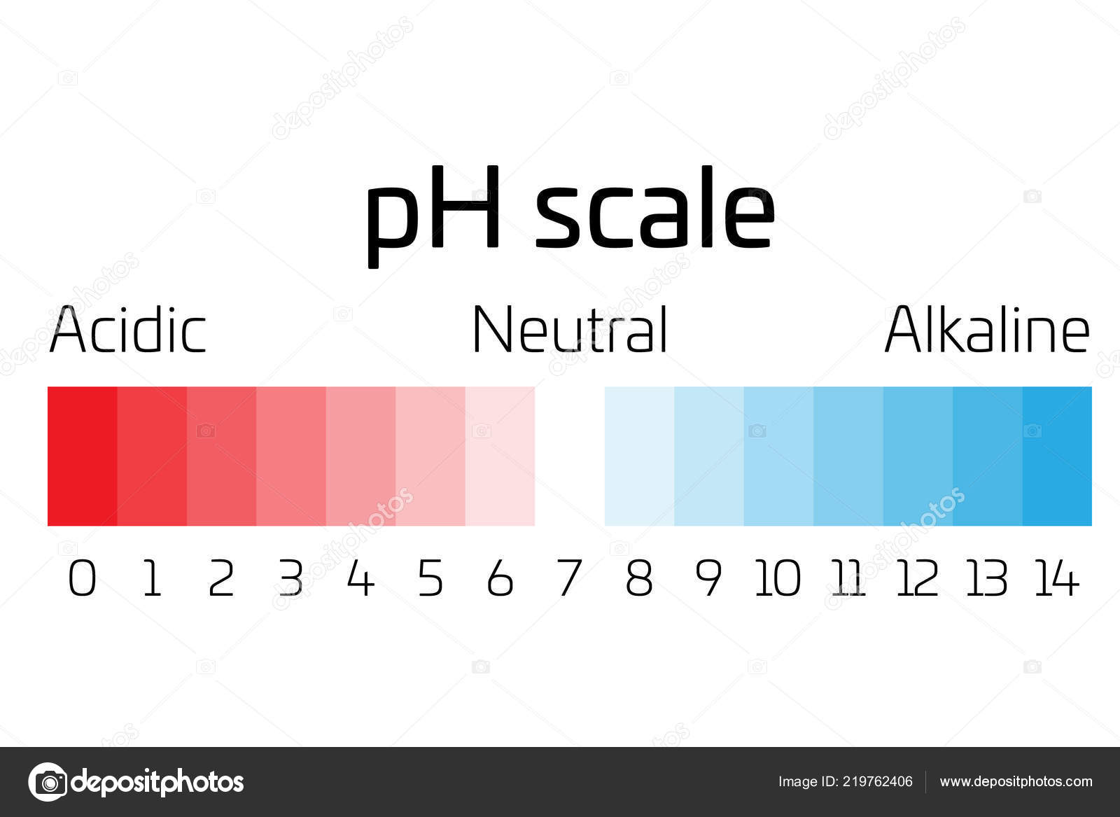 PH scale. Indicator of pH value expressing rate of acidity or basicity ...
