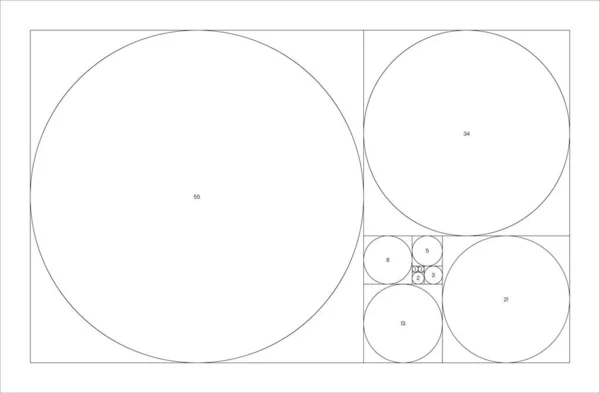 Golden ratio geometric concept. Fibonacci spiral. Vector illustration ...