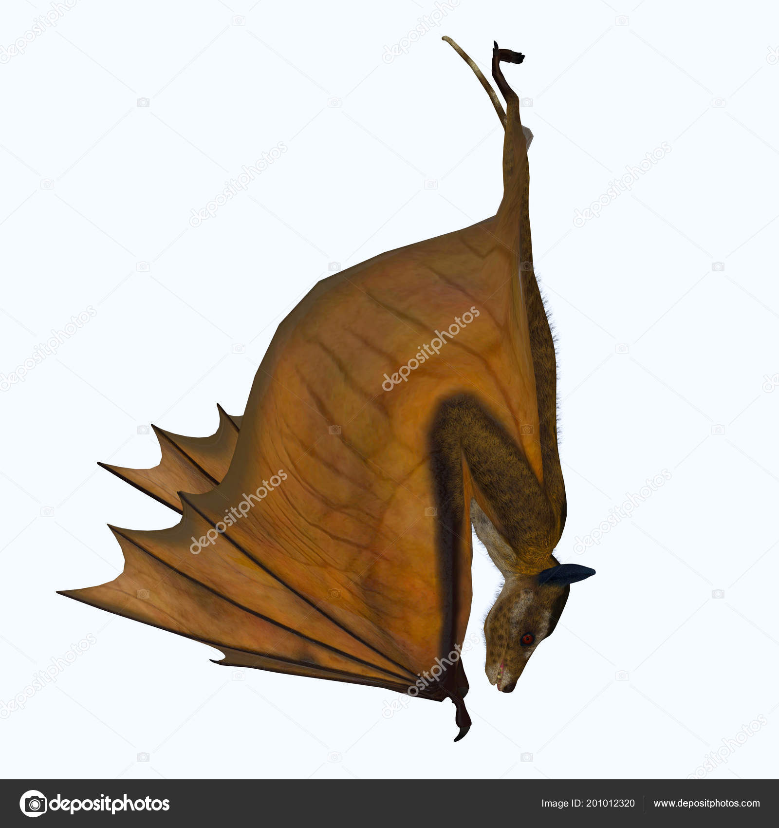 Icaronycteris Index First Bat Known Science Lived North America Eocene ...