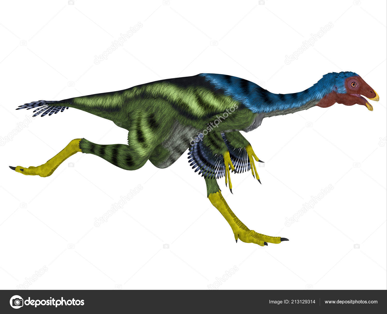 Caudipteryx Oviraptor Beaked Carnivorous Dinosaur Lived China ...