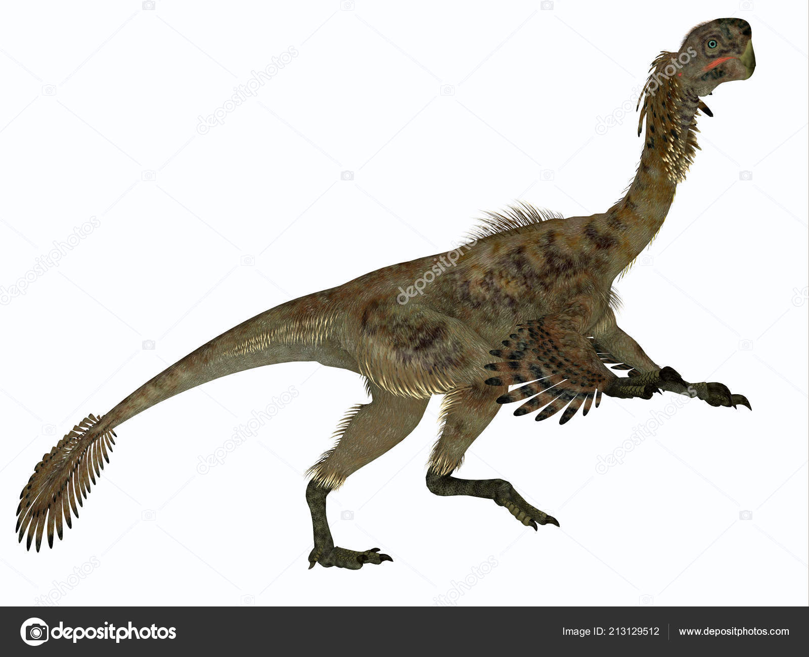 Citipati Carnivorous Velociraptor Dinosaur Lived Mongolia Cretaceous ...
