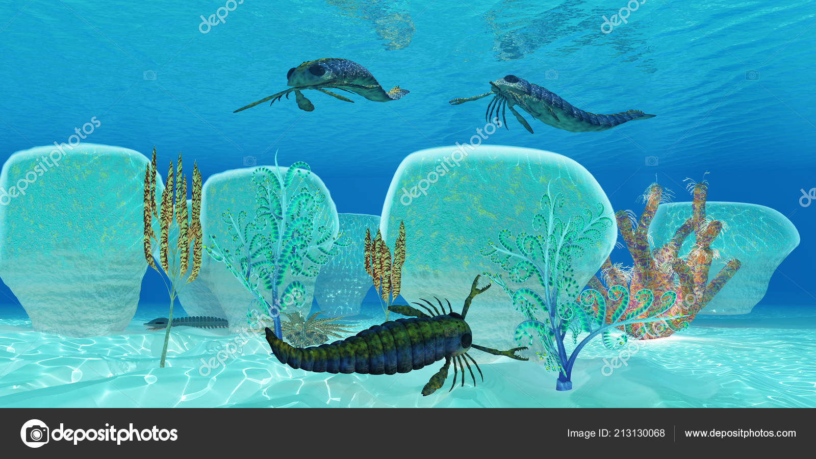 Devonian Period Fish