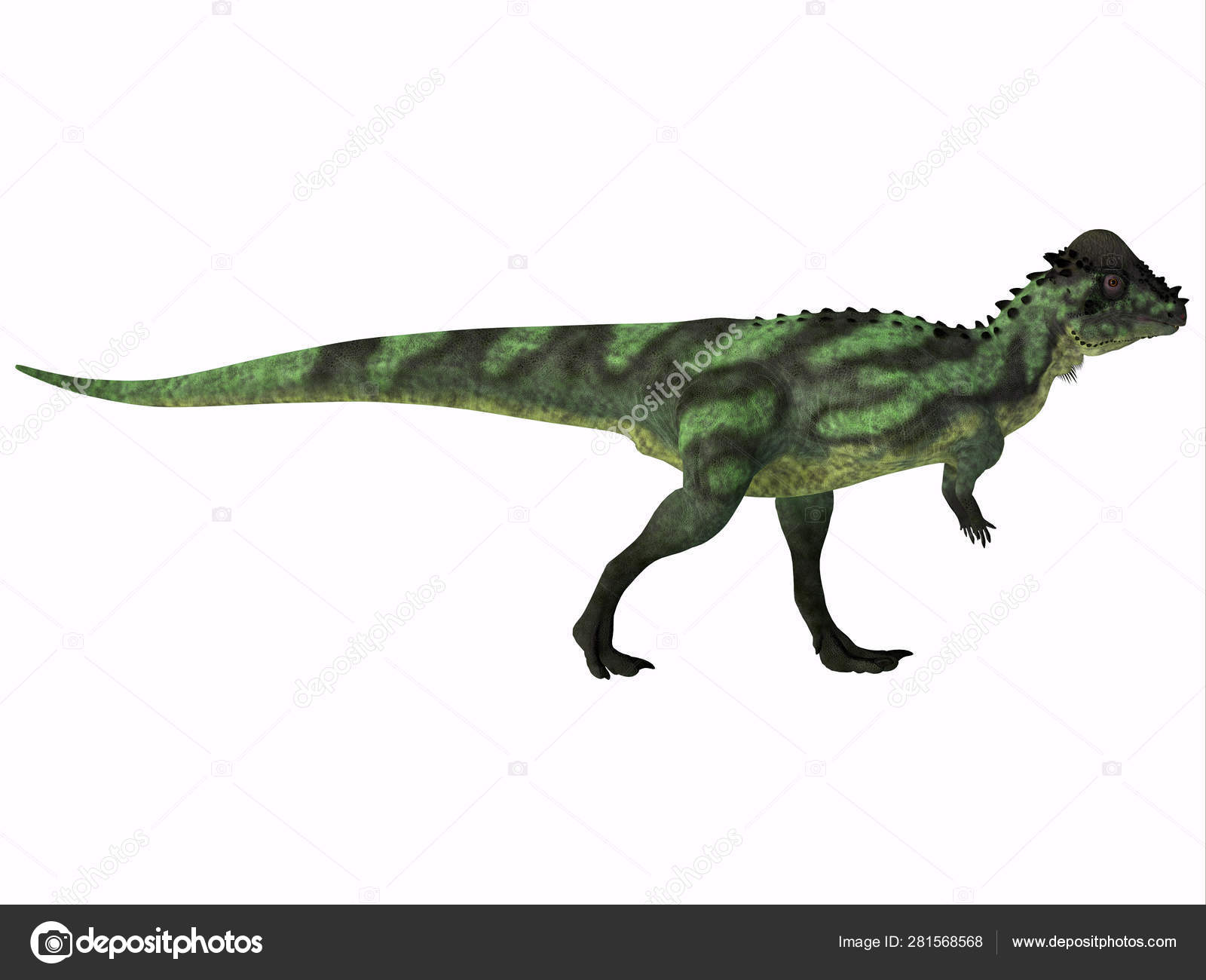 Pachycephalosaurus Dinosaur Side Profile — Stock Photo © CoreyFord ...