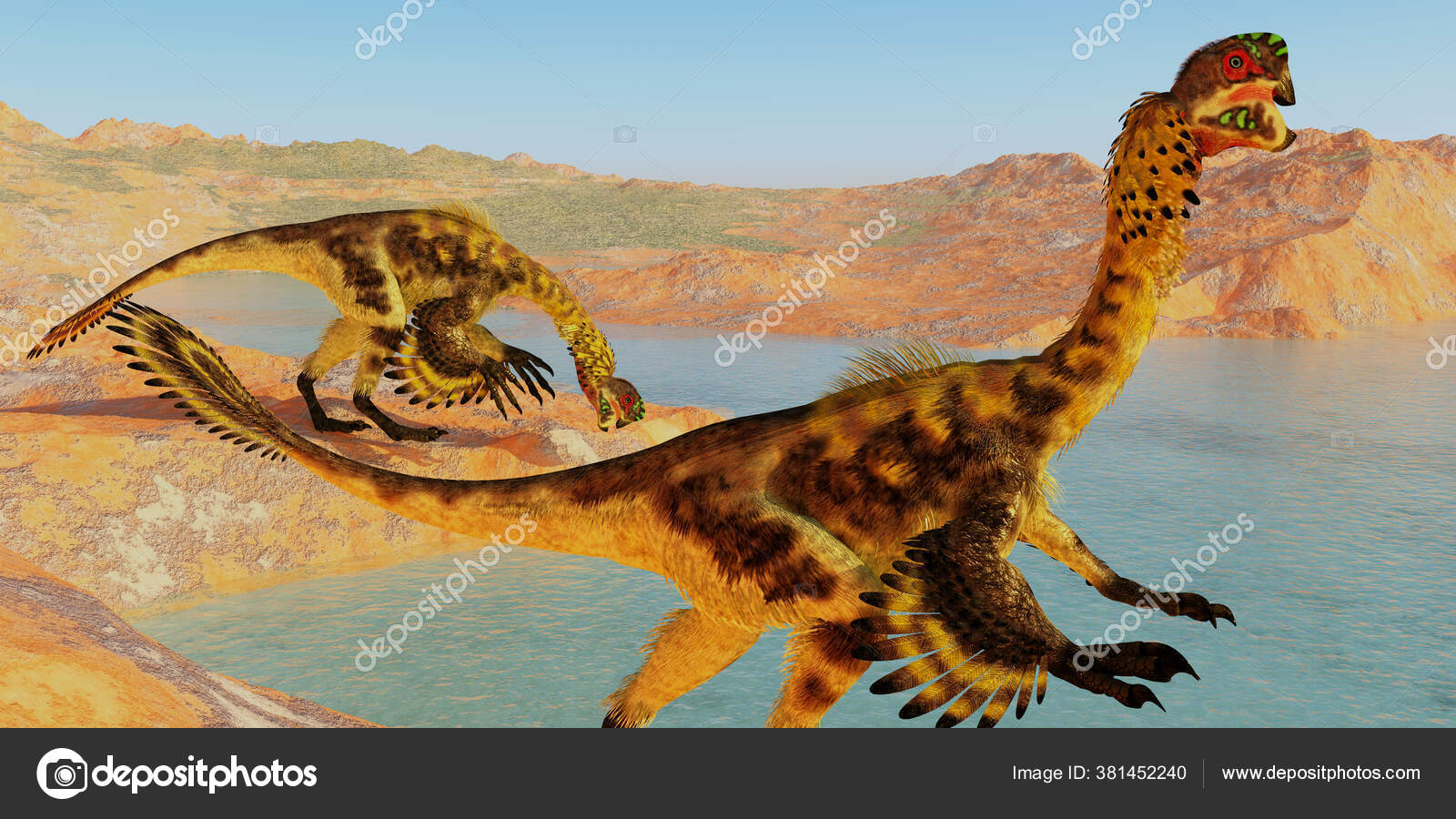 Citipati Feathered Velociraptor Dinosaur Lived Cretaceous Period ...