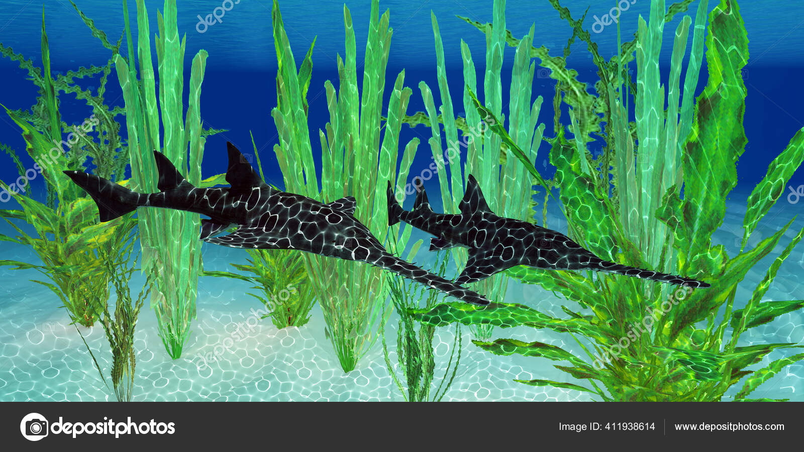 Hiu Predator Ini Onchopristis Sawfish Hidup Laut Beberapa Negara Selama ...